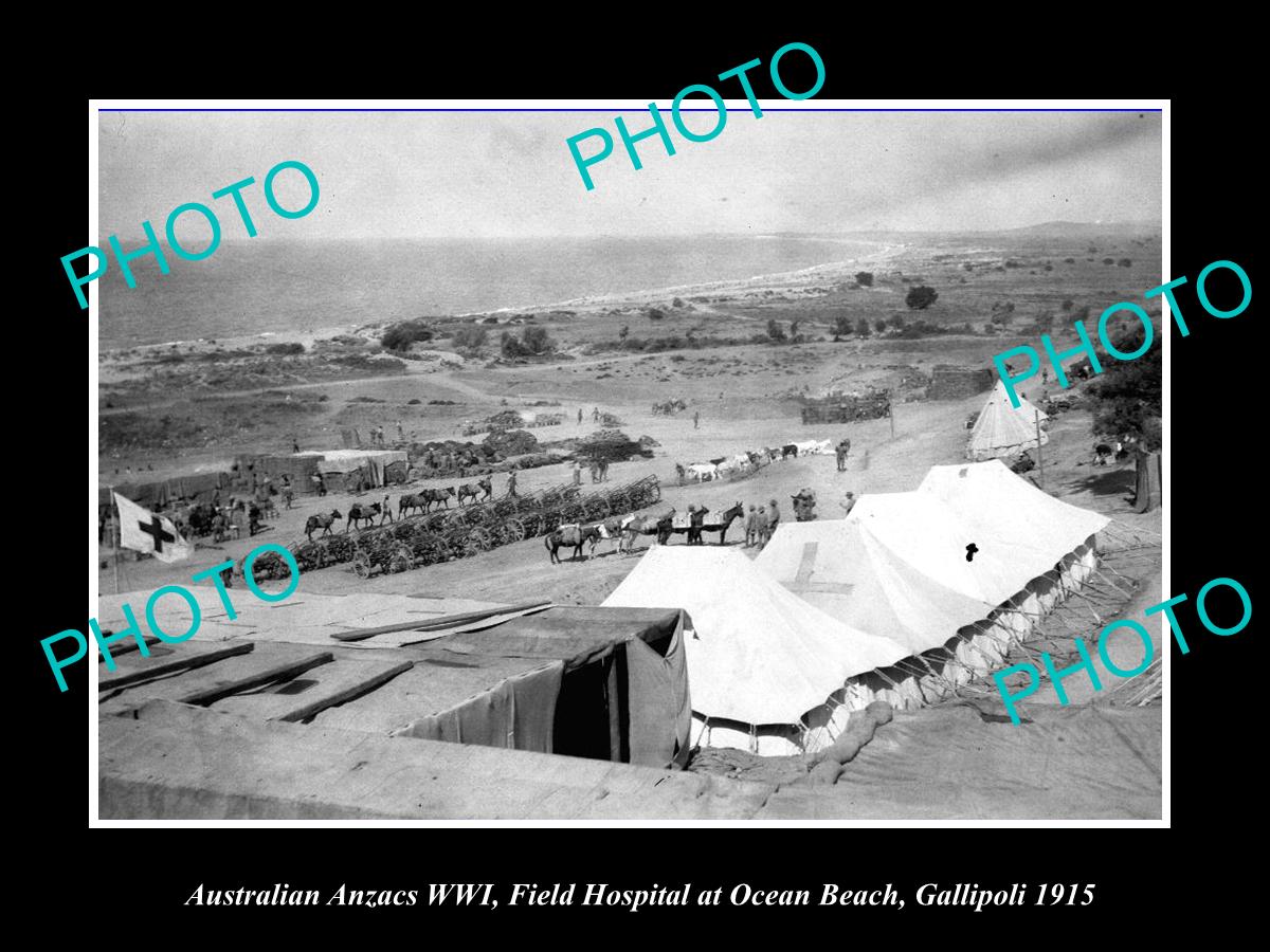 OLD HISTORIC PHOTO OF WWI AUSTRALIAN ANZACS, GALLIPOLI FIELD HOSPITAL ...