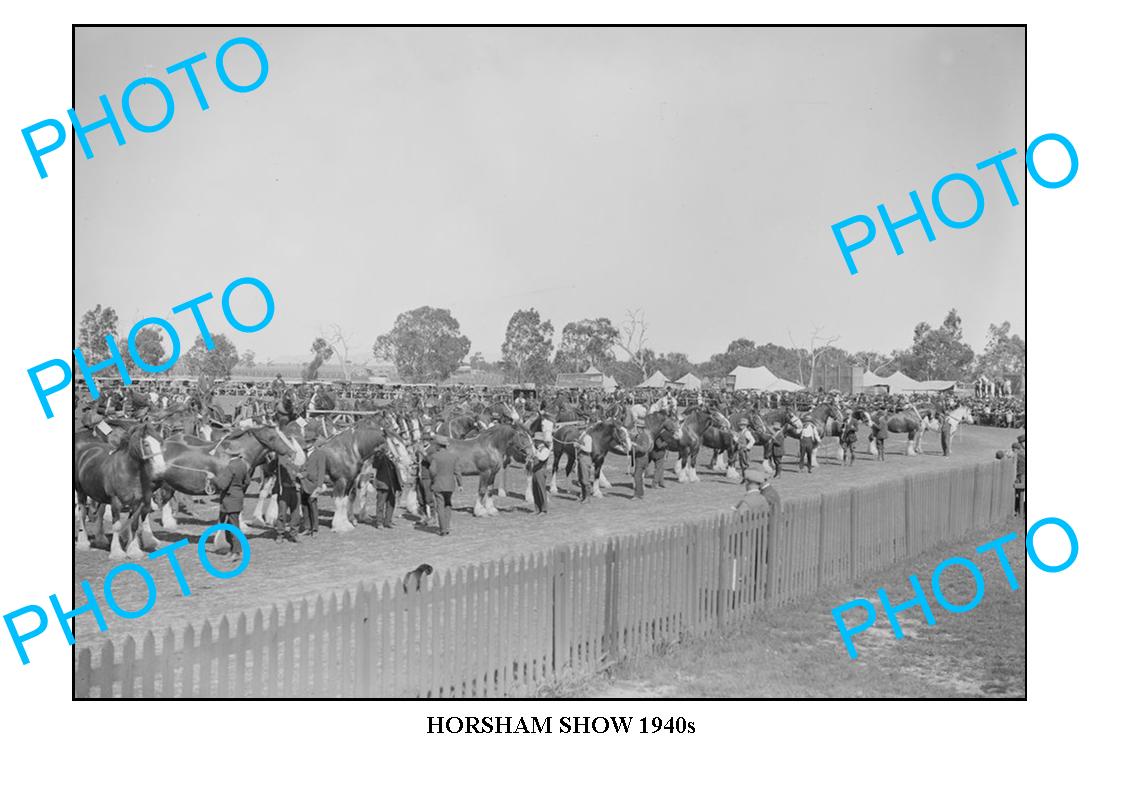 Large Photo Of Old Horsham Show 1940S, Draught Horses – Images and Archives