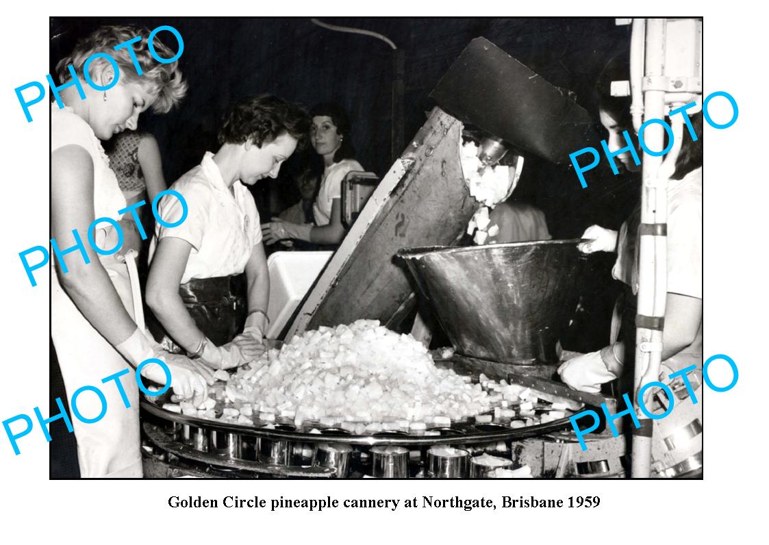 Old Large Photo, Golden Circle Pineapple Cannery, Northgate Brisbane C ...