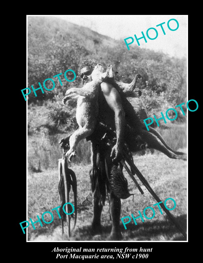 Old Large Historic Photo Of Nsw Aboriginal, Returning From Hunt, Koala ...